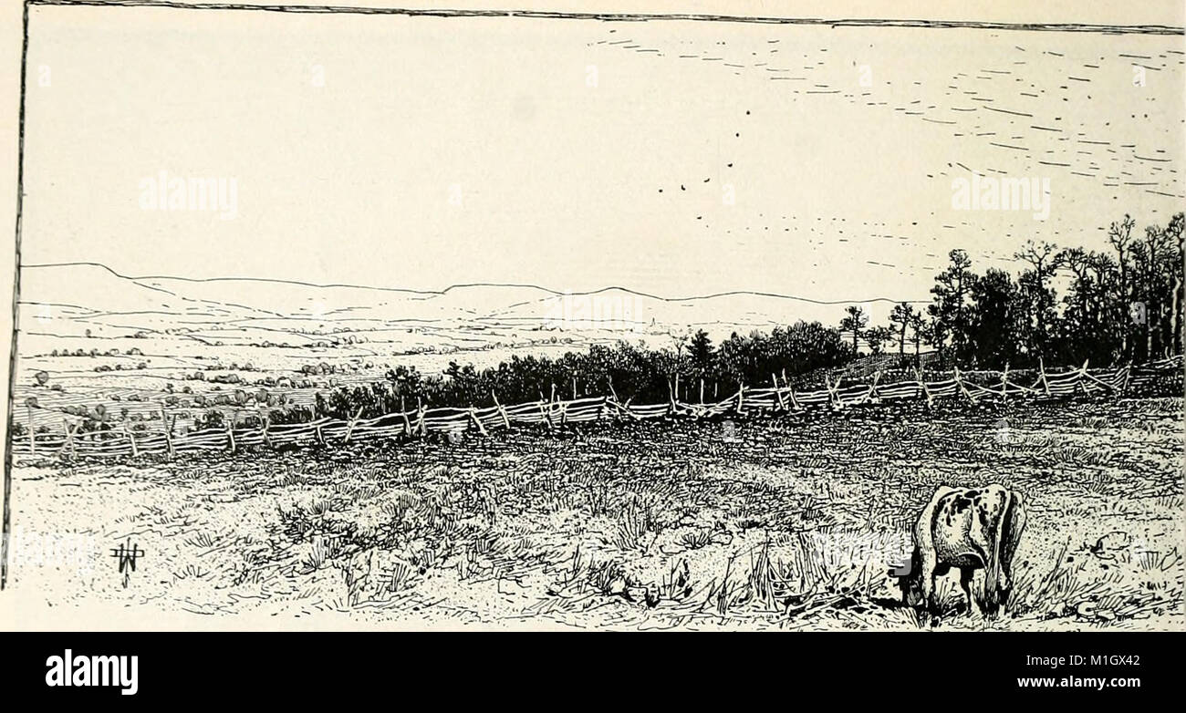 'Abraham Lincoln and the Battles of the Civil War' (1887) examines ...