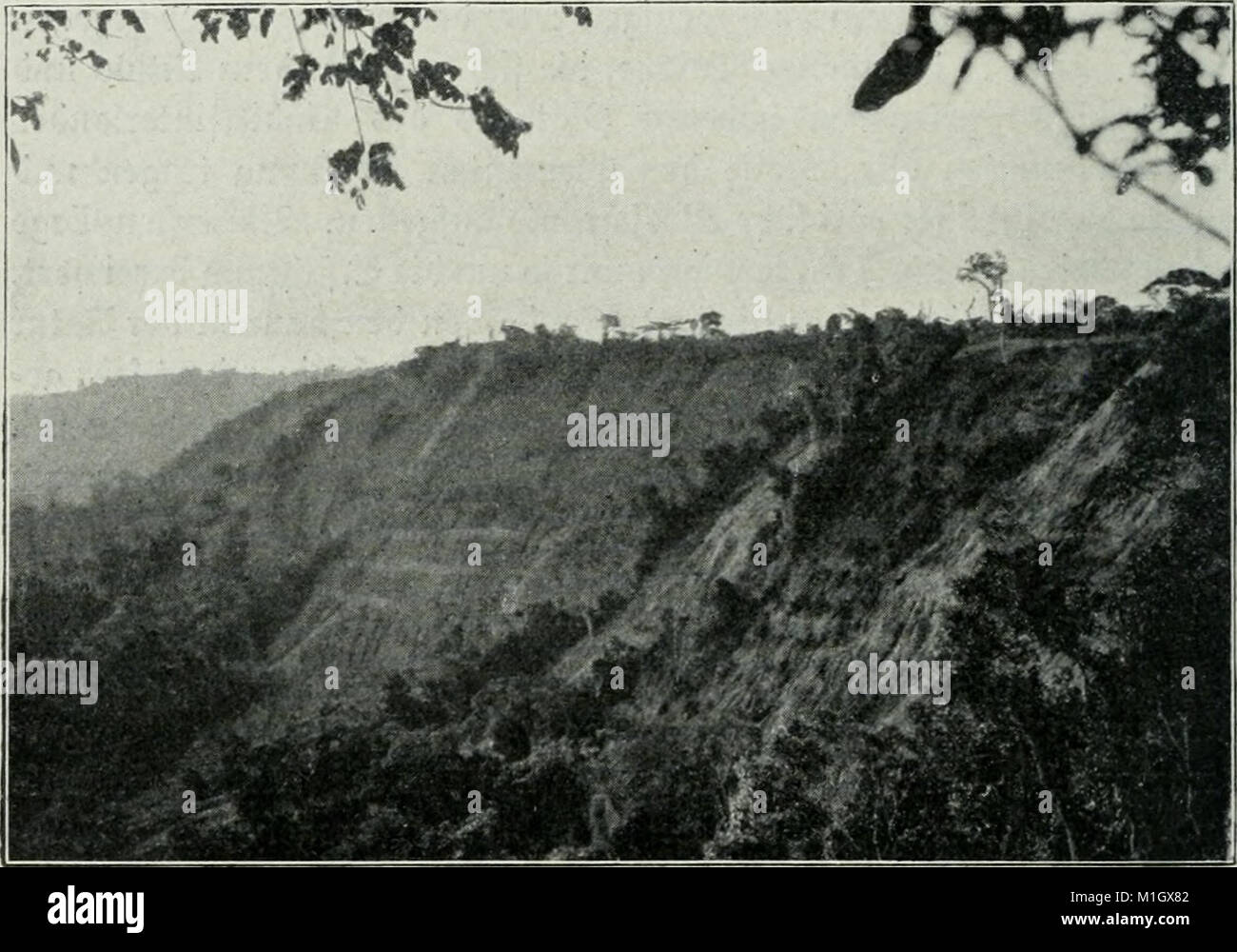 'Am Tendaguru' (1912) documents a German expedition to excavate ...