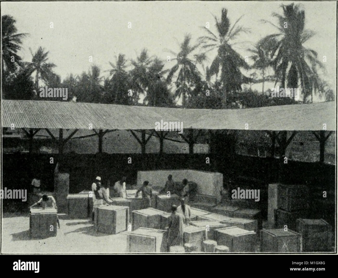 The book covers the German research expedition to Tendaguru, which ...