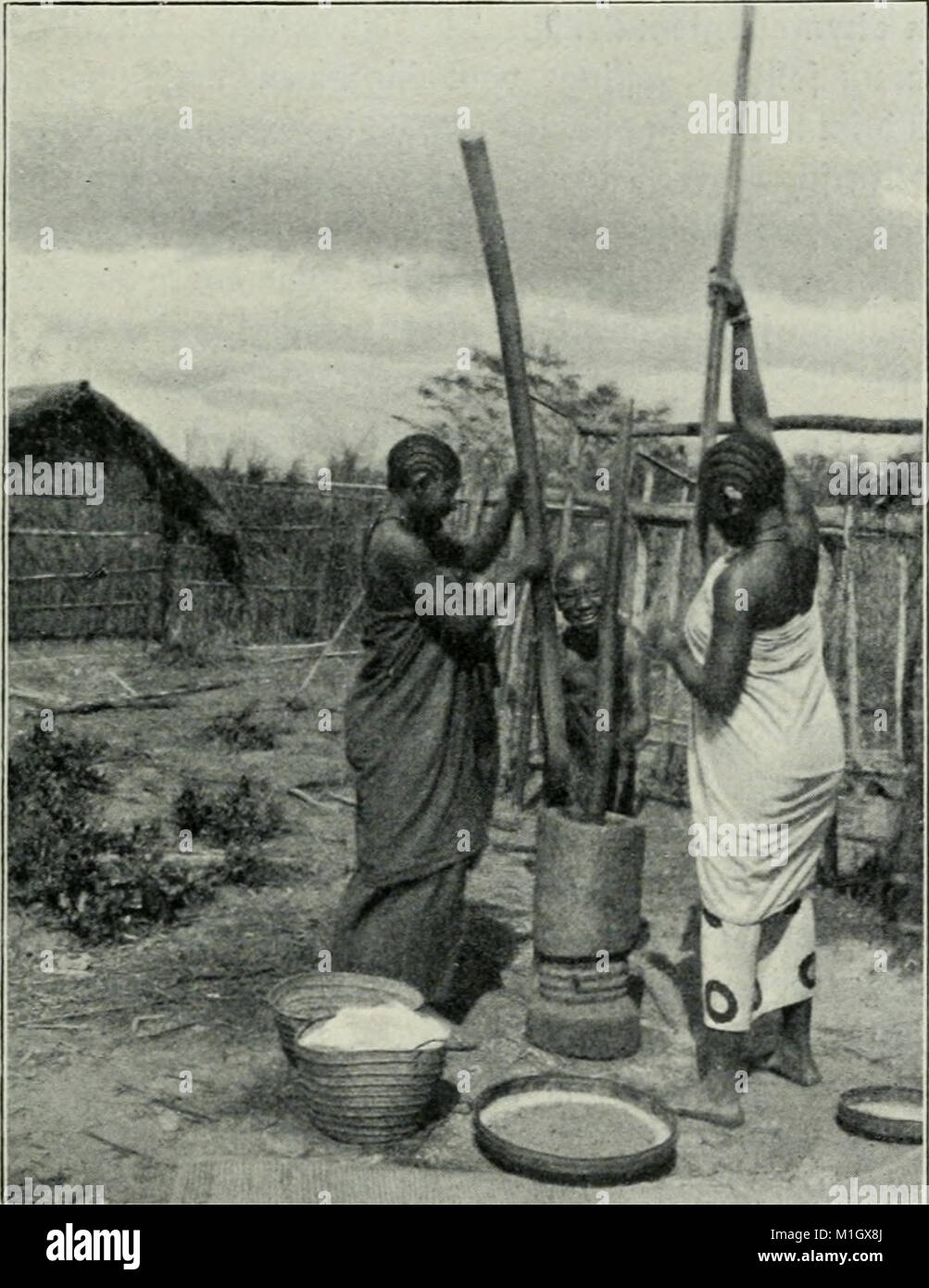 'Am Tendaguru' (1912) documents the German research expedition in East ...