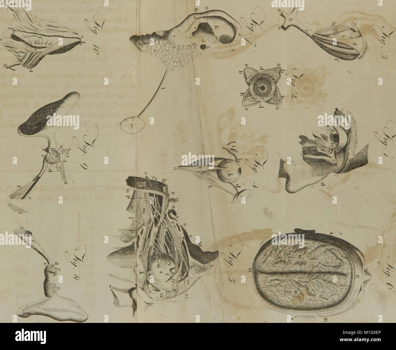 The compendious book hi-res stock photography and images - Alamy