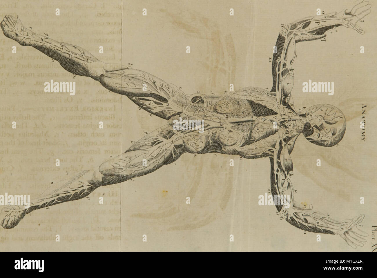 The compendious book hi-res stock photography and images - Alamy