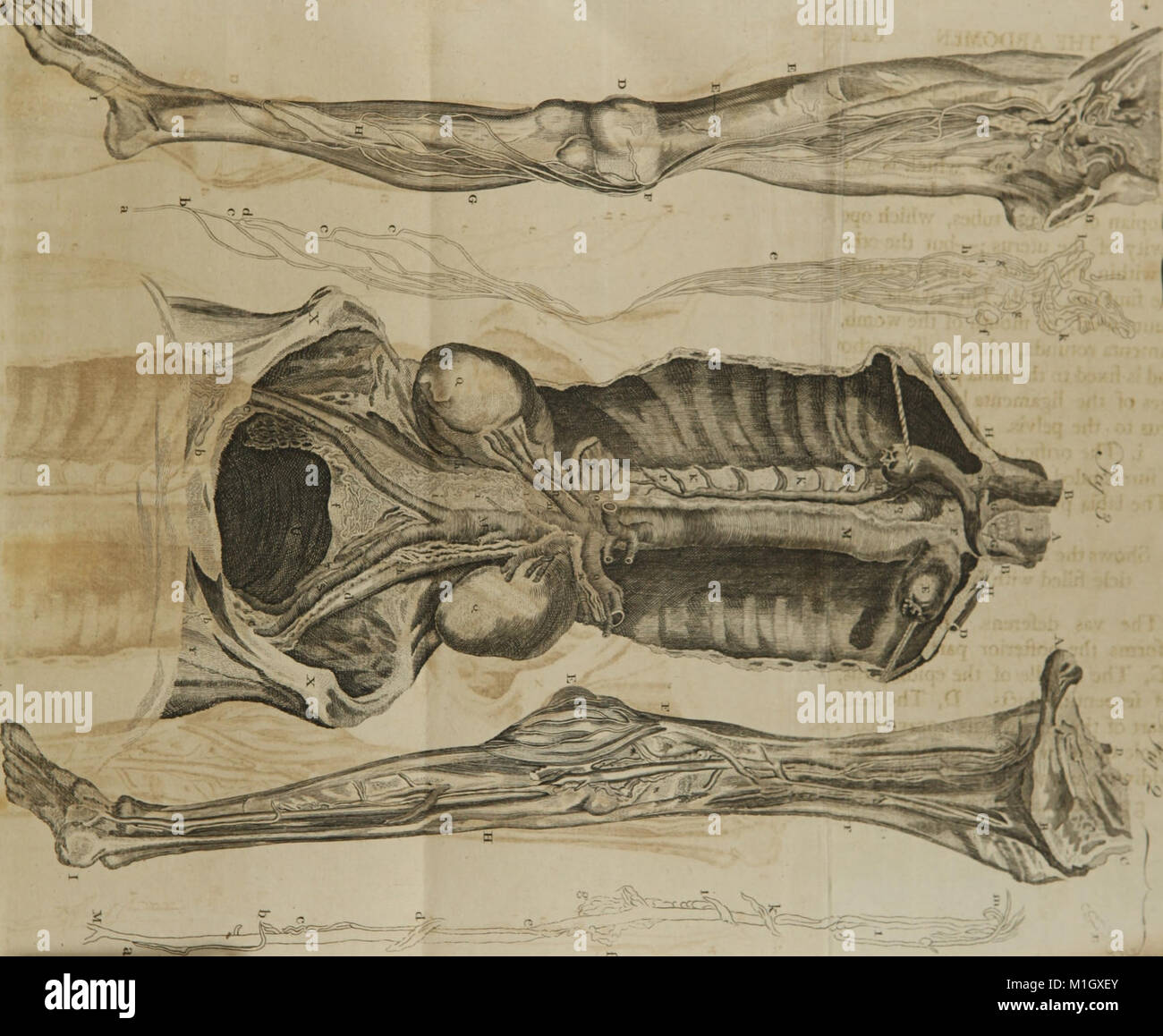 This 1792 anatomy book offers a detailed and comprehensive system of ...