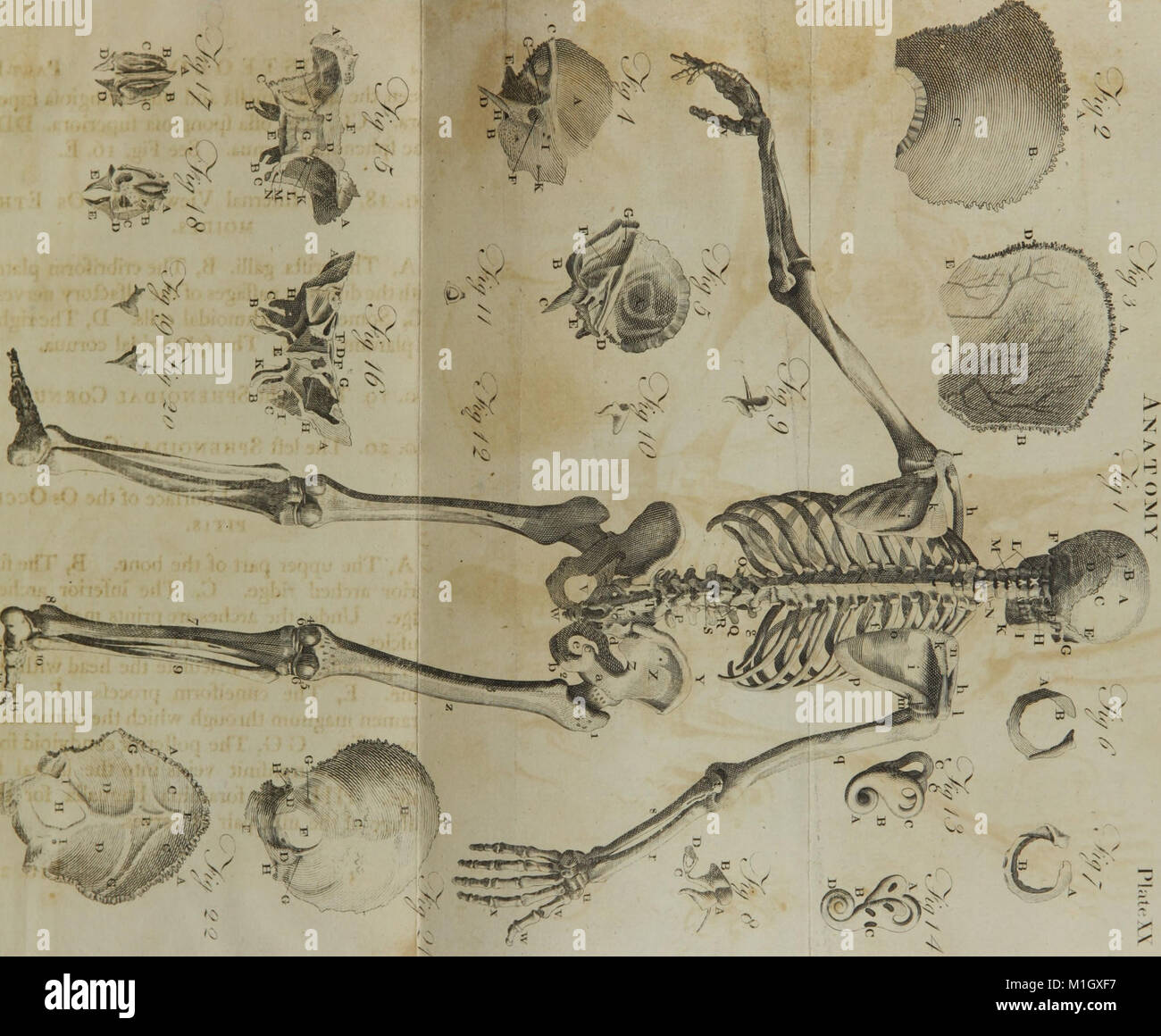 The compendious book hi-res stock photography and images - Alamy