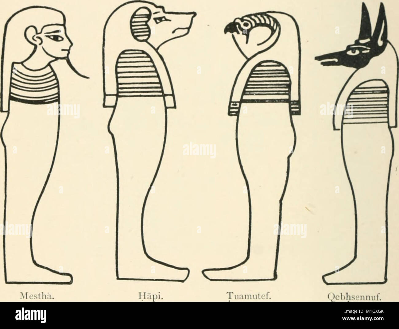 Predynastic egyptian hi-res stock photography and images - Alamy