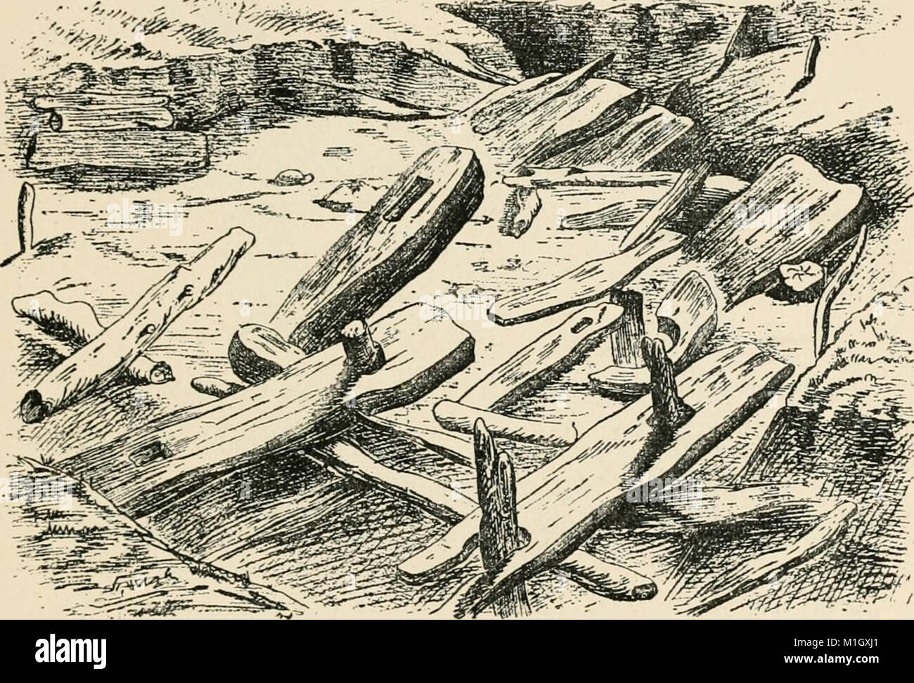 'Ancient Scottish Lake-Dwellings or Crannogs' (1882) explores the ...