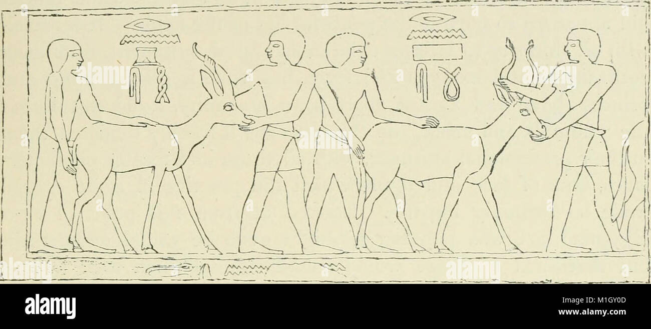 This 1883 publication provides a historical analysis of art in ancient ...