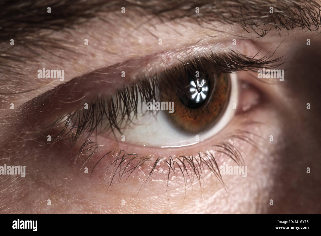 Male eye hi-res stock photography and images - Alamy