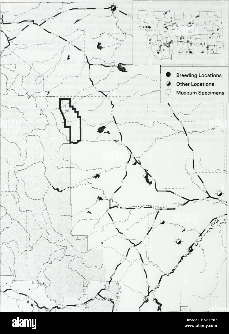 Lemming mountain hi-res stock photography and images - Alamy