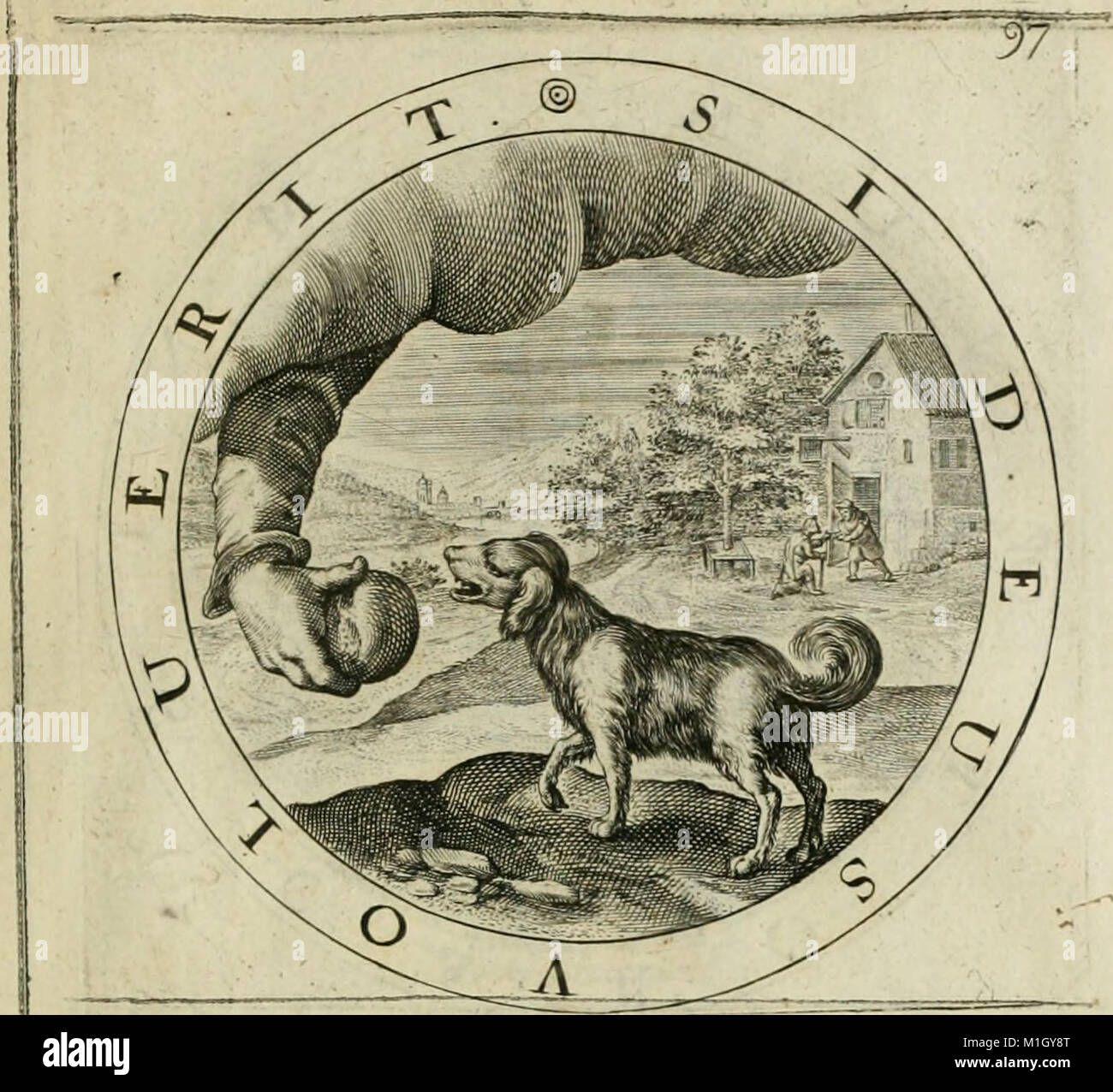 Quickened hi-res stock photography and images - Alamy