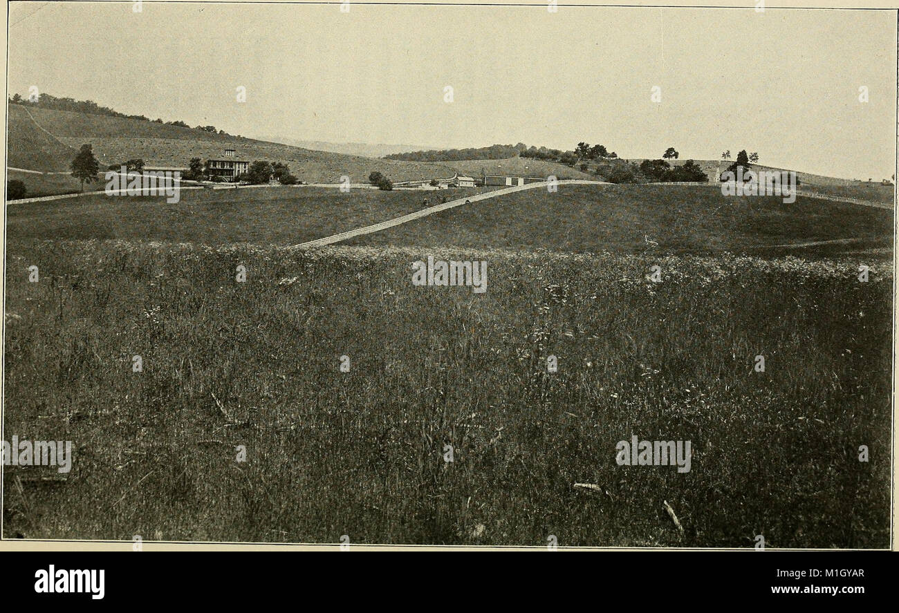 This 1911 handbook offers detailed information about Virginia’s ...