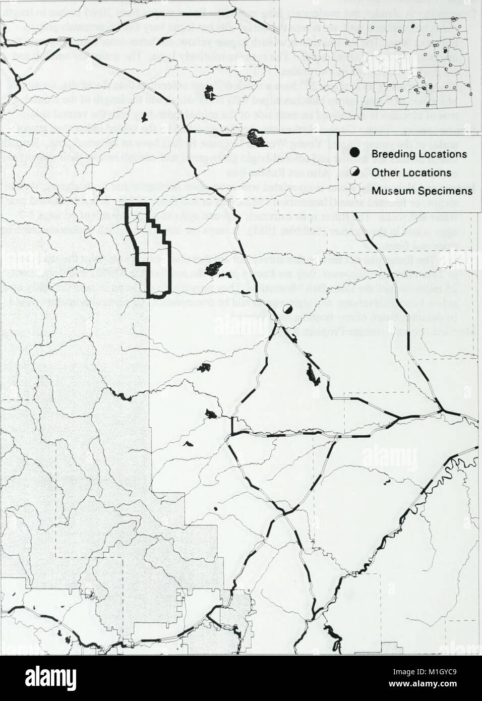 Lemming Mountain High Resolution Stock Photography and Images - Alamy