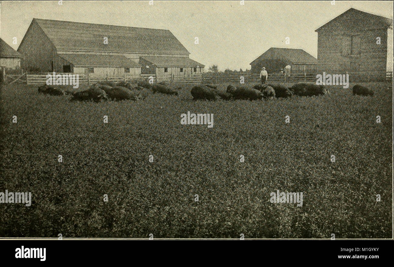 A hand book of Virginia (1911) (14592779968 Stock Photo - Alamy