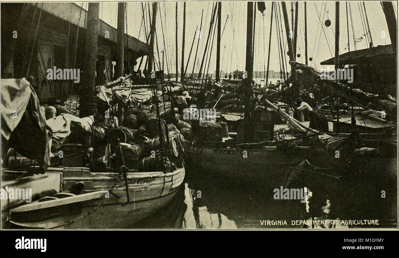 A 1911 guidebook providing detailed information about the state of ...