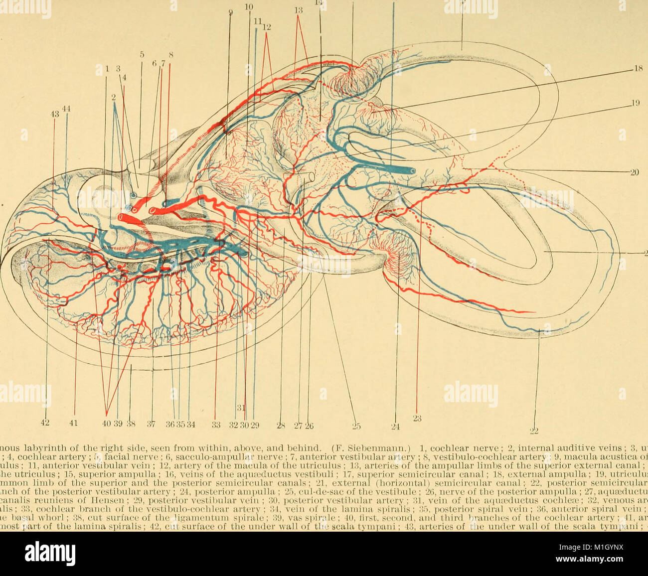 This 1901 textbook provides detailed information on diagnosing and ...