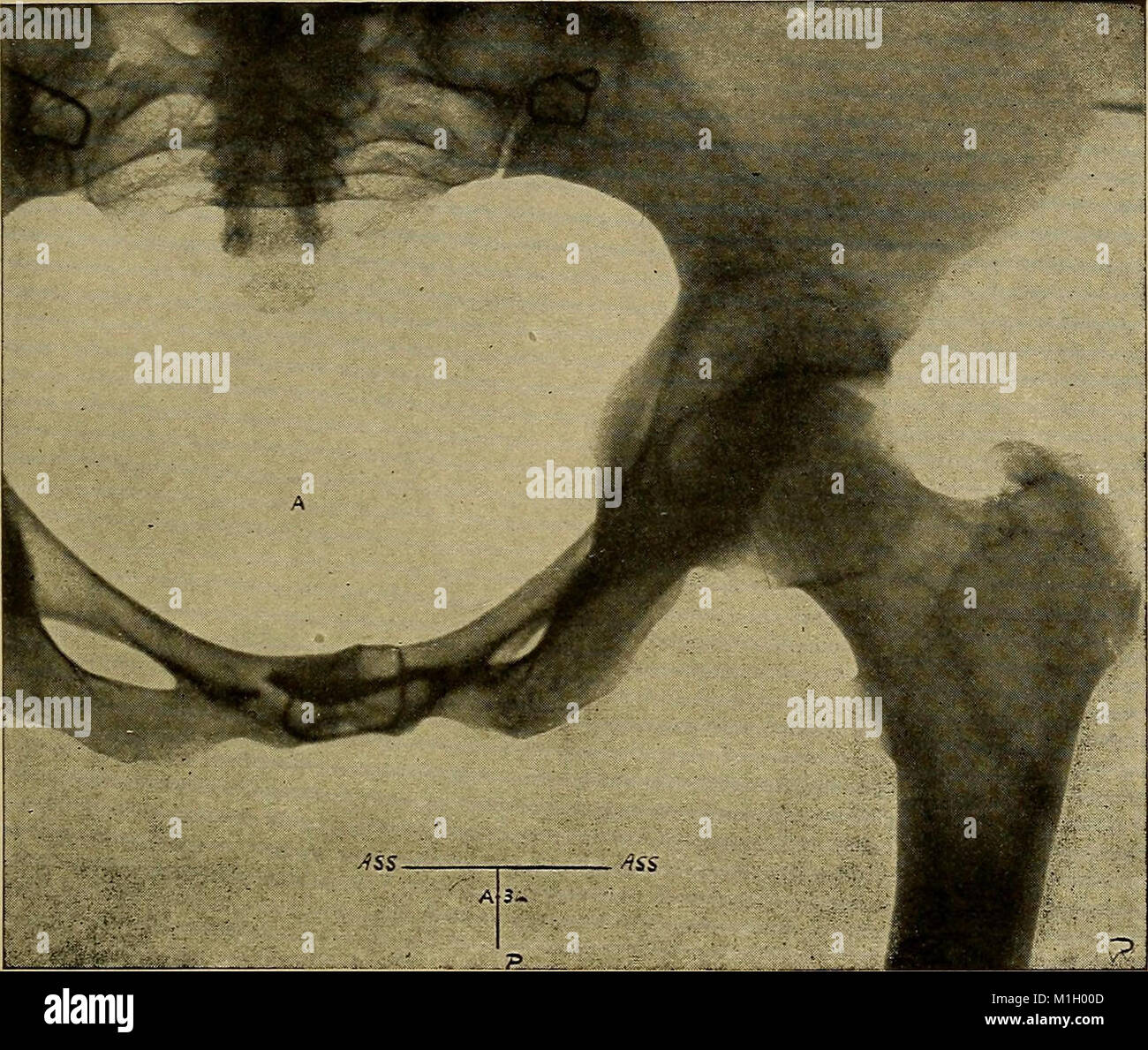 This instructional system outlines X-ray techniques, medical ...