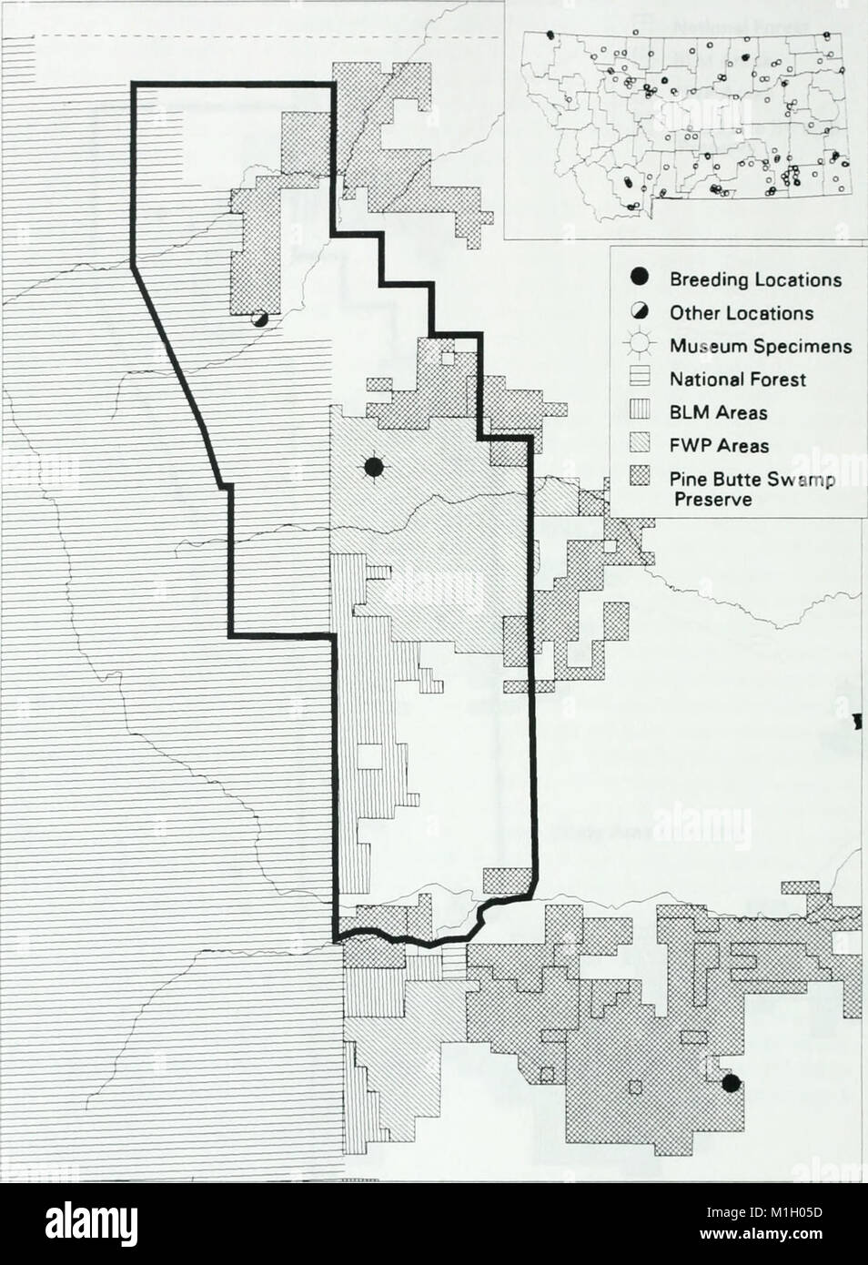 Lemming mountain hi-res stock photography and images - Alamy