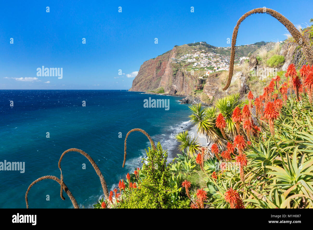 Views of madeira hi-res stock photography and images - Alamy