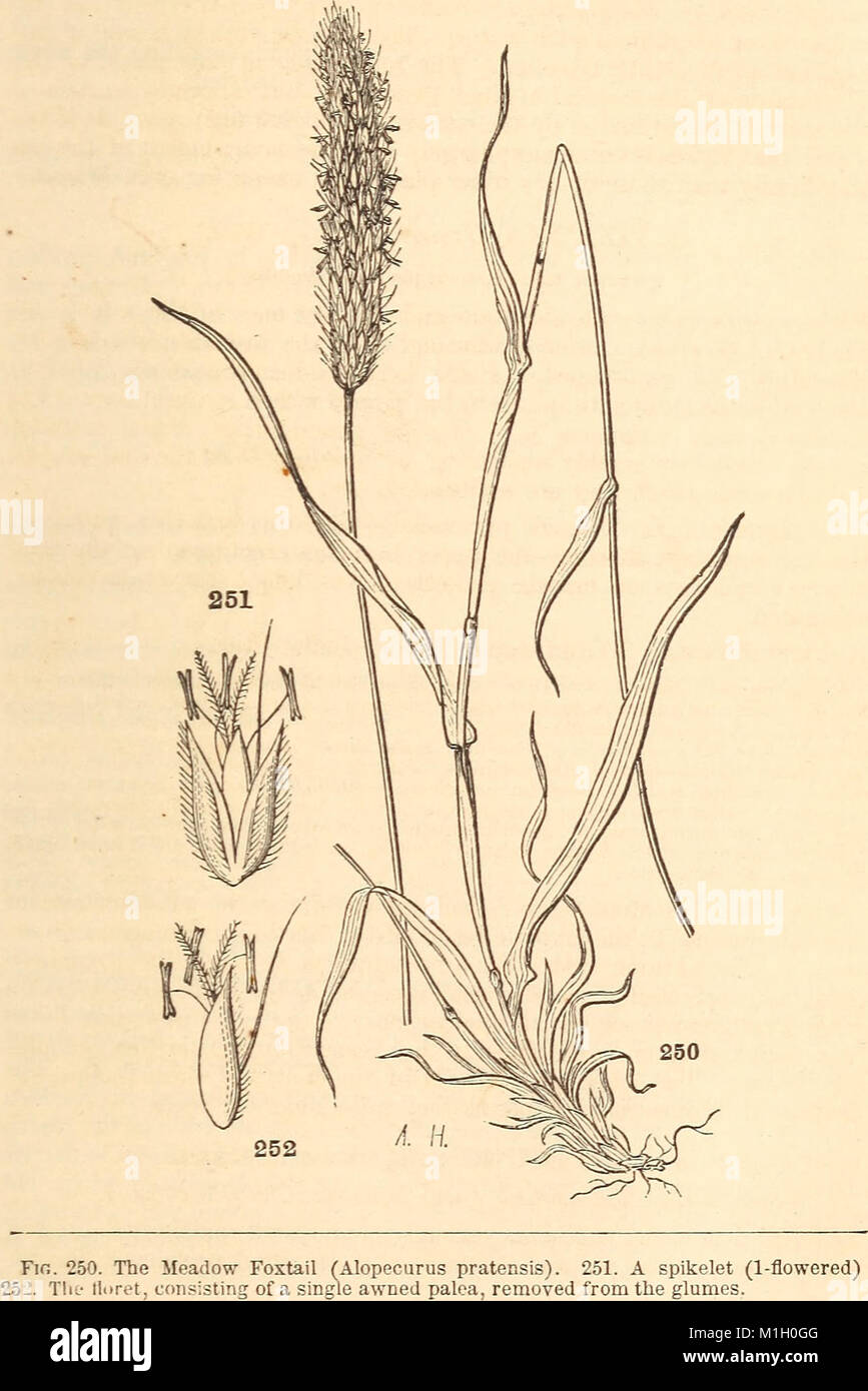 This 1859 illustrated edition of *Agricultural Botany* provides a ...