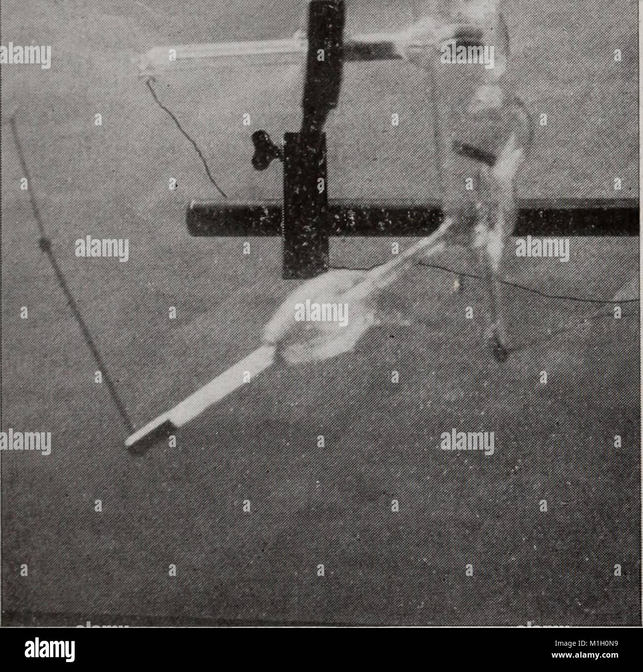 The 1899 'American X-ray Journal' covers developments in X-ray ...