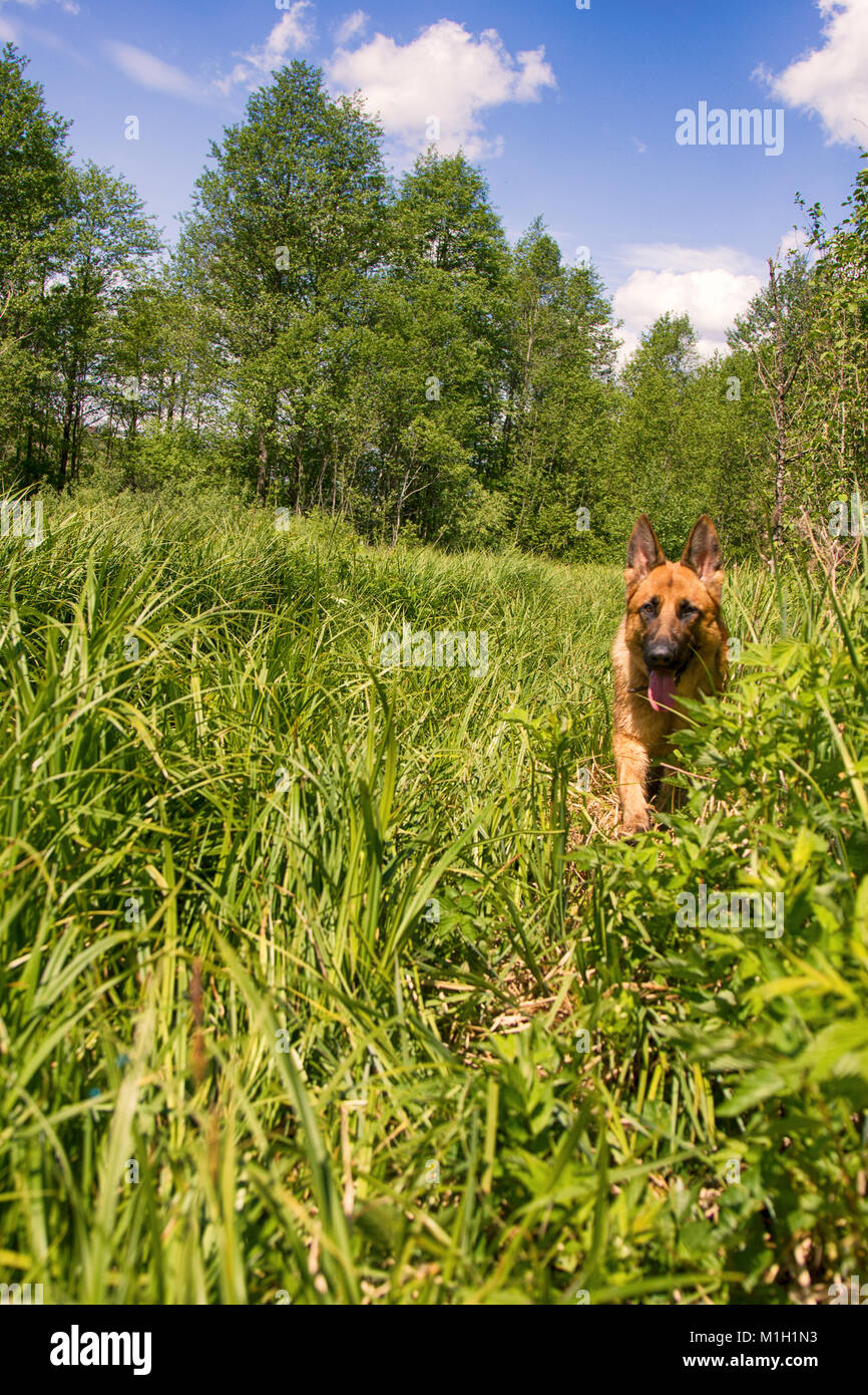 India, Chengam - January 28, 2016: Daily life of India 2. On platform ...