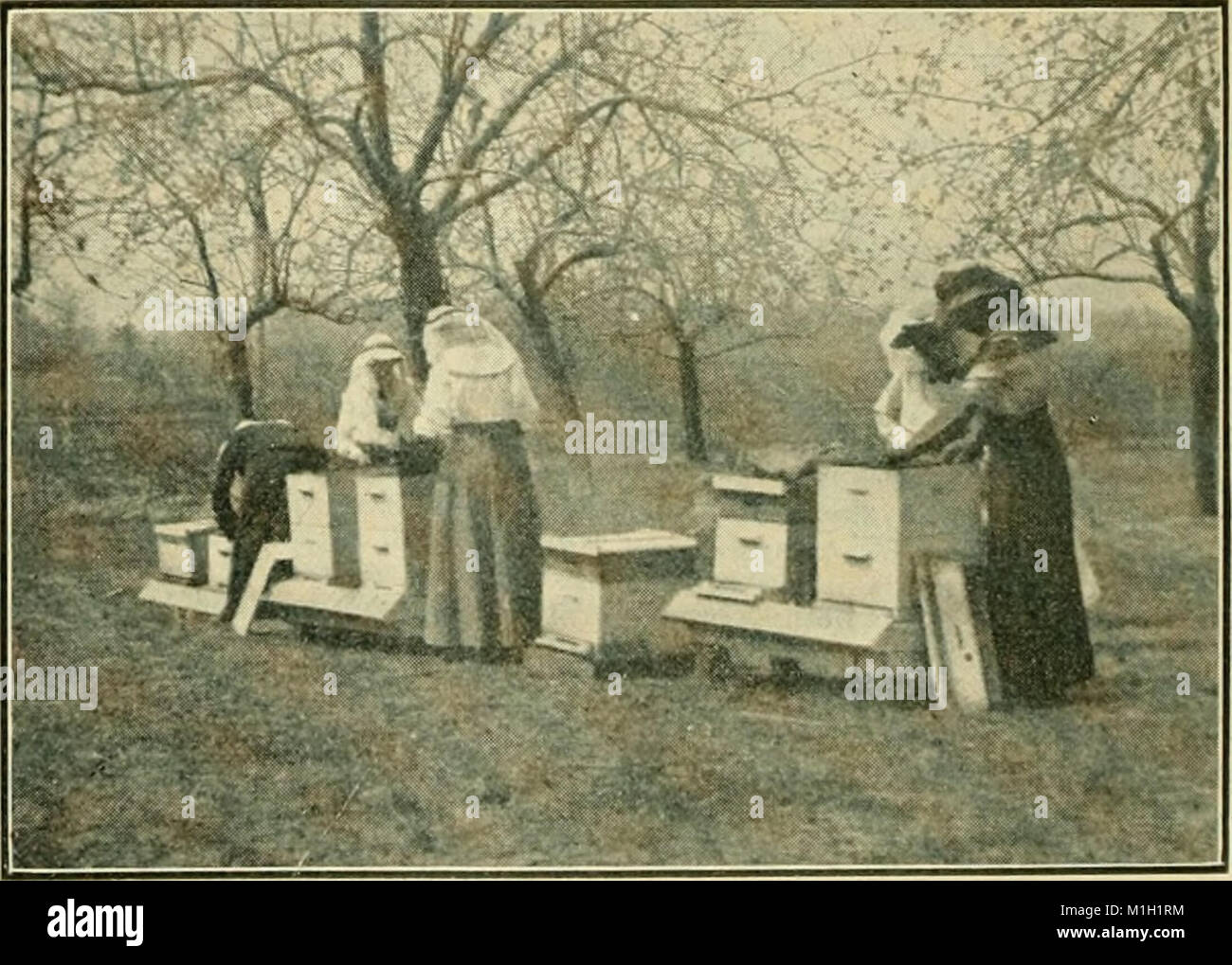 The American Bee Journal (1916) is a publication focused on beekeeping ...