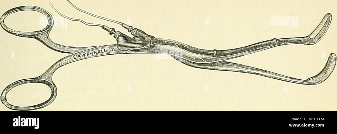 An American text-book of genito-urinary diseases, syphilis and diseases ...