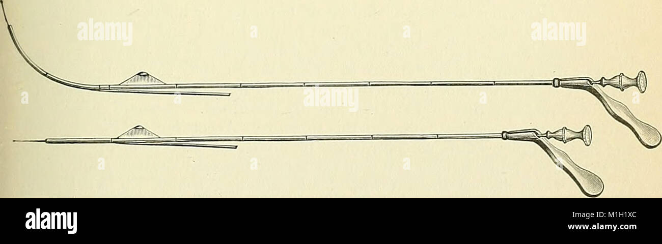 An American text-book of genito-urinary diseases, syphilis and diseases ...