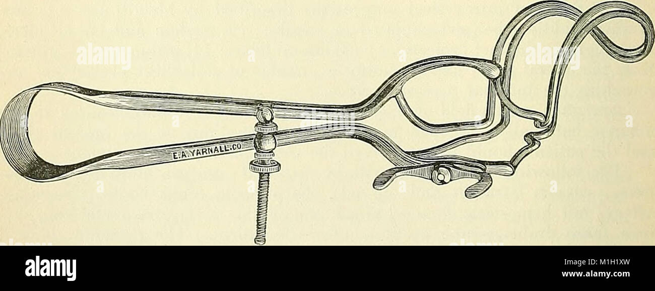 An American text-book of genito-urinary diseases, syphilis and diseases ...