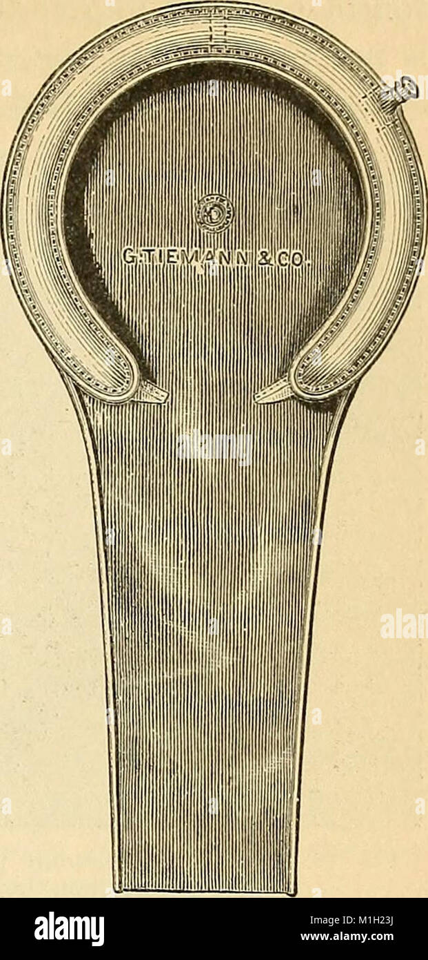 This 1893 medical treatise discusses genito-urinary diseases, syphilis ...
