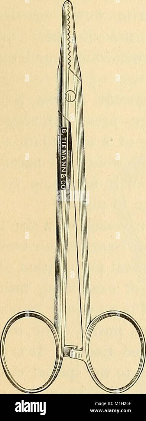 A system of genito-urinary diseases, syphilology and dermatology (1893 ...