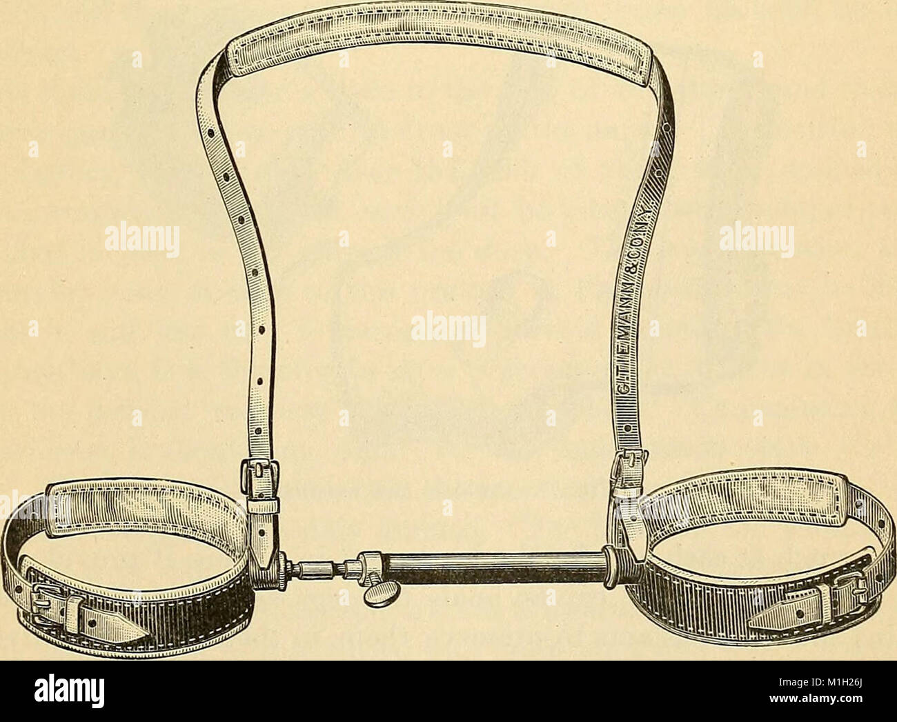 This 1893 medical text discusses the diagnosis, treatment, and ...
