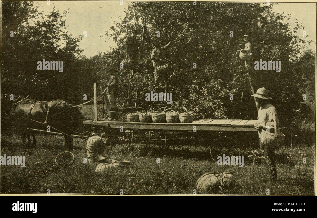 The 1909 book Agriculture for Common Schools provides educational ...