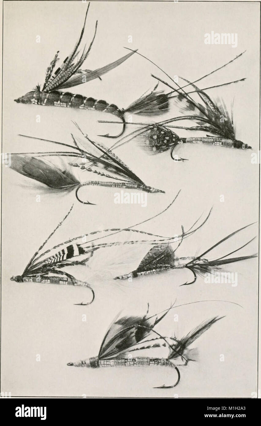 American trout-stream insects - a guide to angling flies and other ...