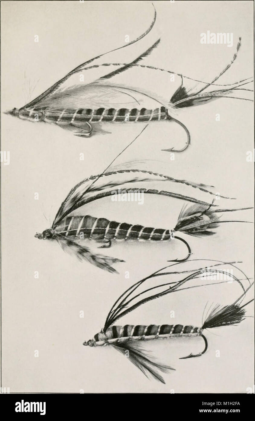This 1916 guide offers detailed information on American trout-stream ...