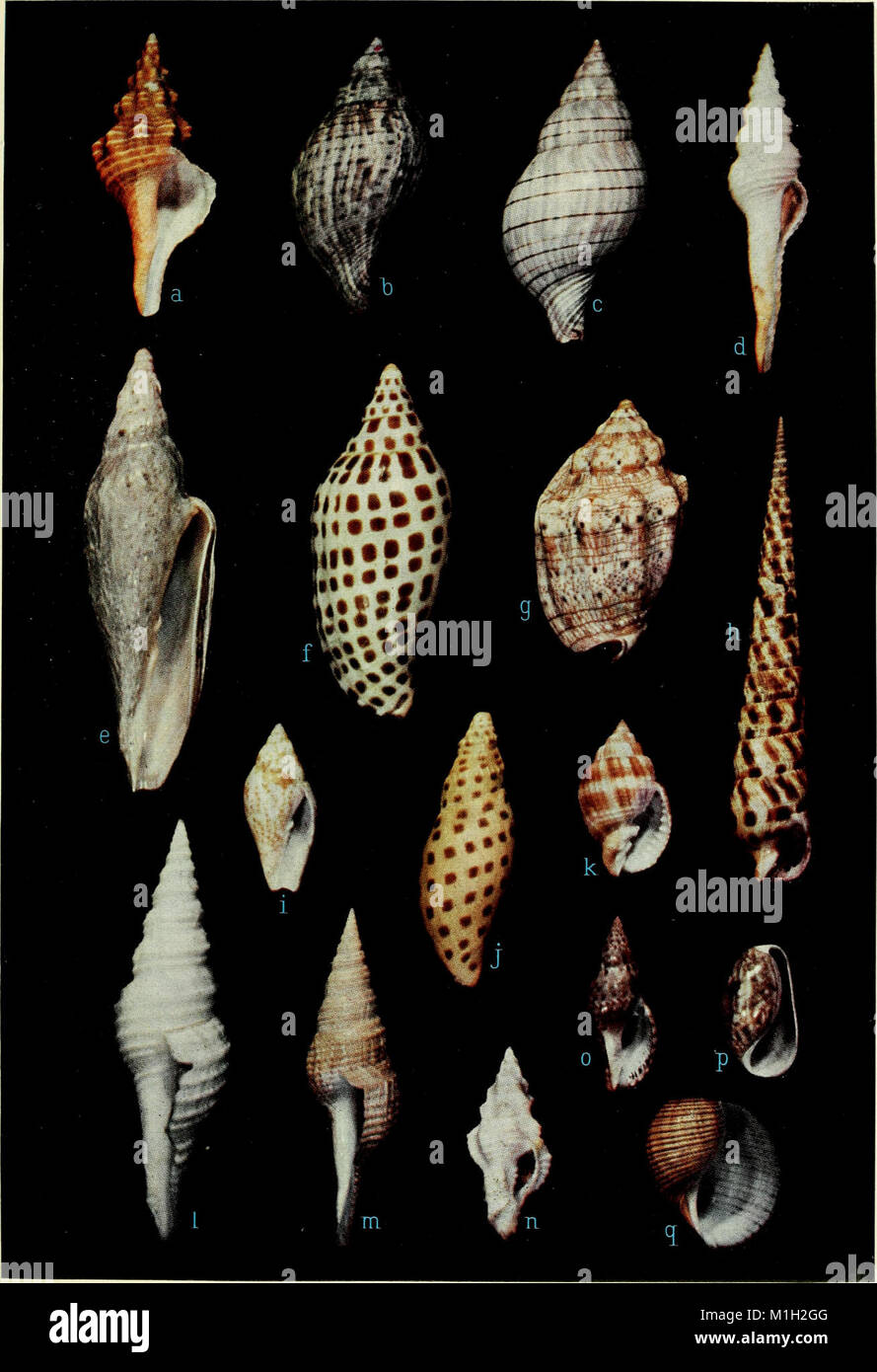 This book, published in 1954, provides an extensive guide to the ...