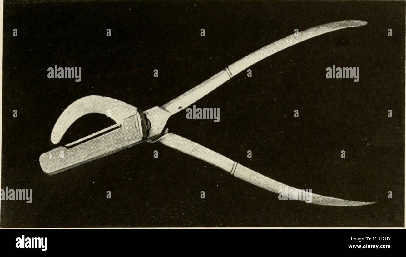 This 1914 book provides an in-depth guide to the practice of animal ...