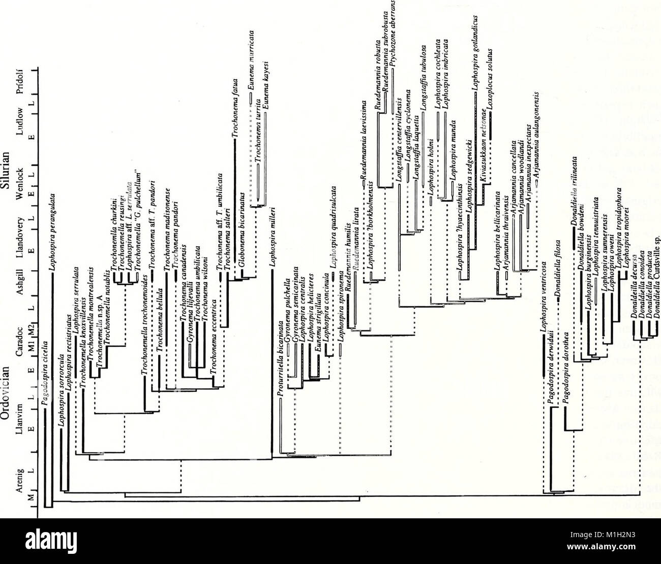 The 1997 issue of the American Malacological Bulletin discusses mollusk ...