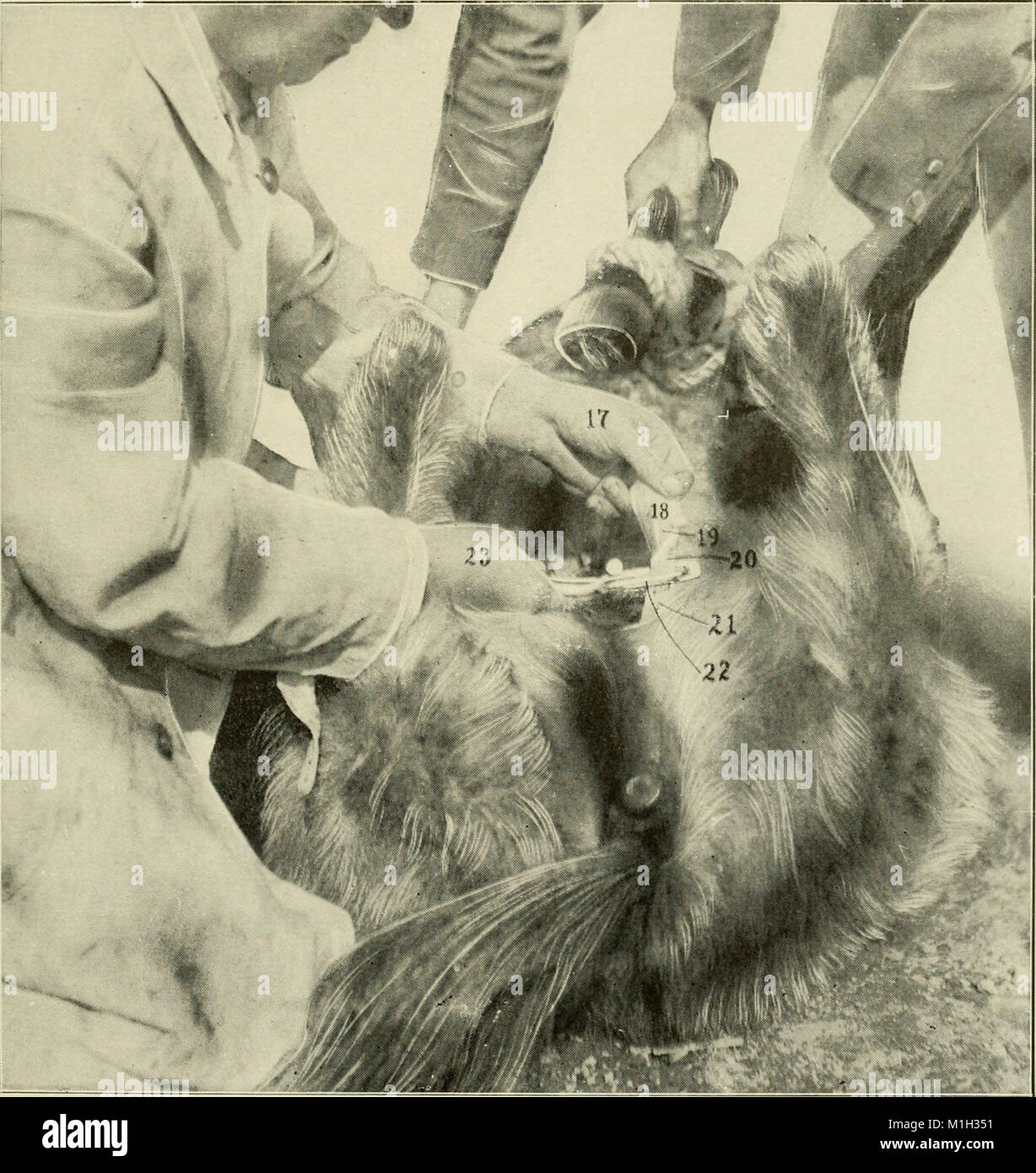 This 1914 book provides guidance on the procedures and techniques of ...