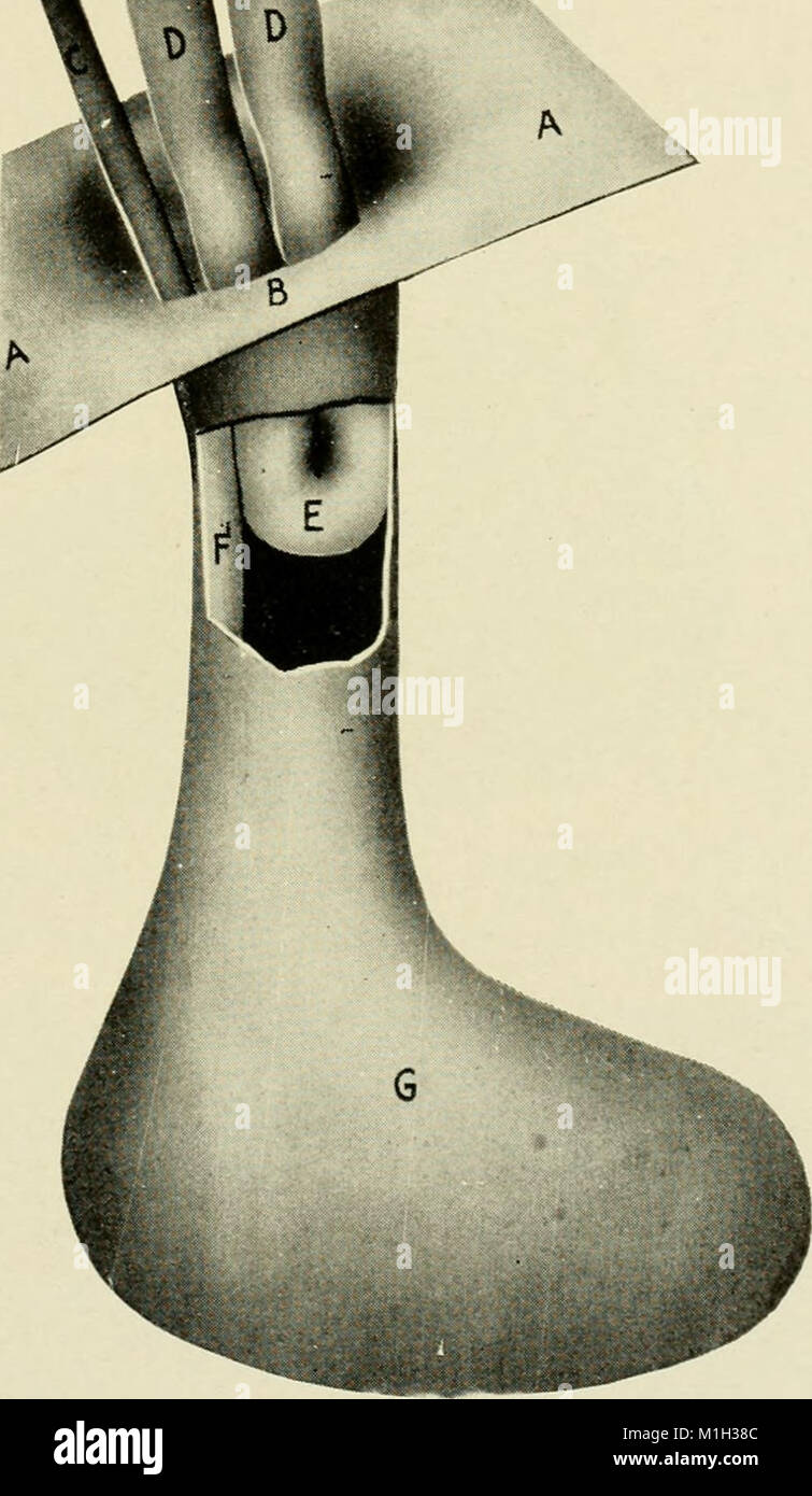 Animal castration, a book for the use of students and practitioners ...