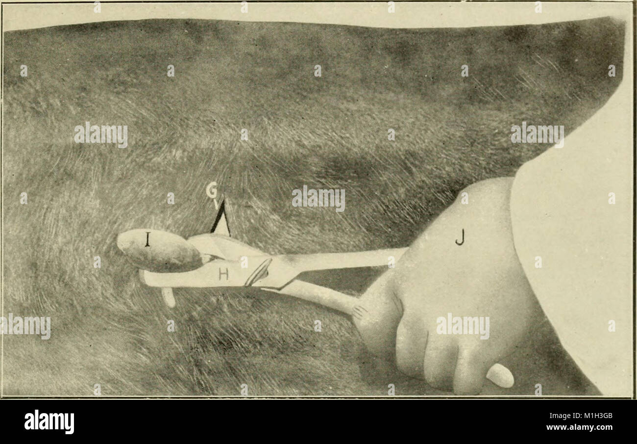 'Animal Castration' (1914) provides detailed guidance for students and ...