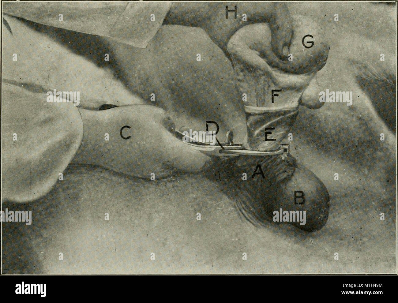 This 1920 medical book provides comprehensive guidance on the practice ...