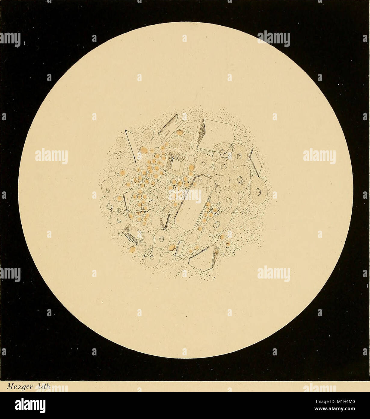 An atlas of clinical microscopy (1885) (14595970180 Stock Photo - Alamy