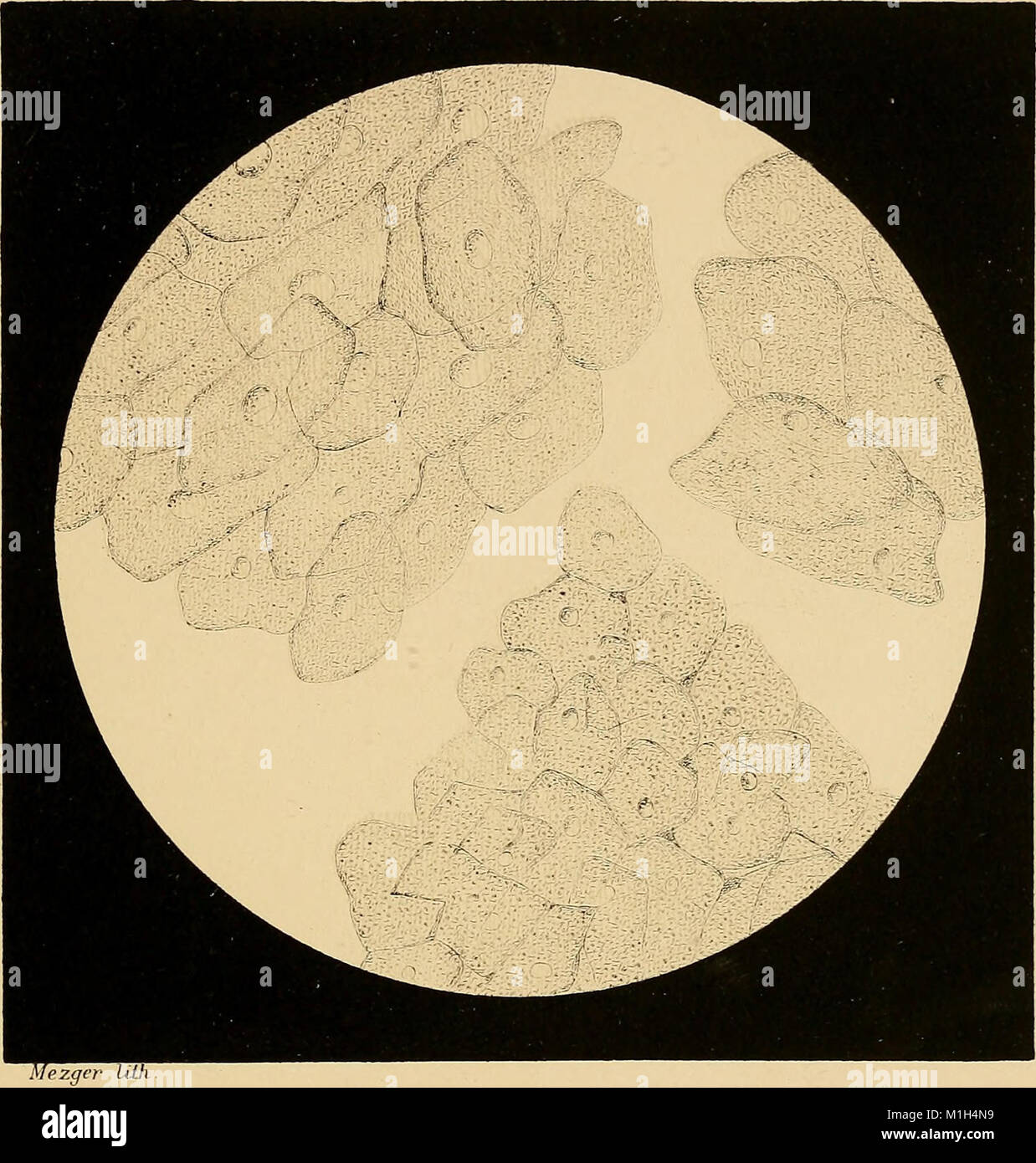 1885 atlas hi-res stock photography and images - Alamy