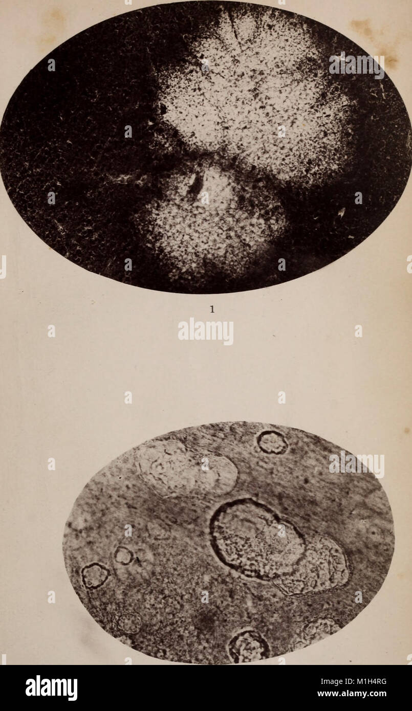 The 'American Journal of Insanity' (1874) is a medical journal that ...