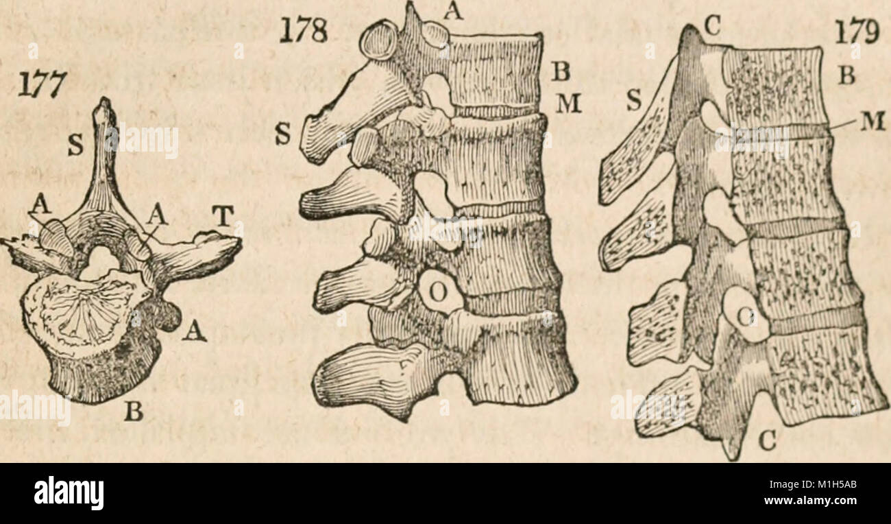 This 1836 work examines animal and plant physiology in the context of ...