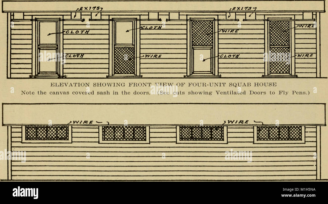 American squab culture; a practical work on squab culture covering ...
