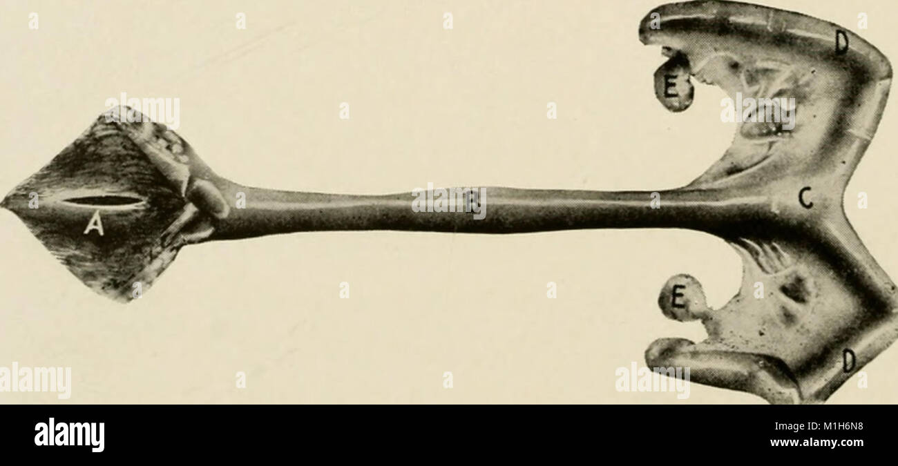 *Animal Castration* (1914) provides a guide for students and ...
