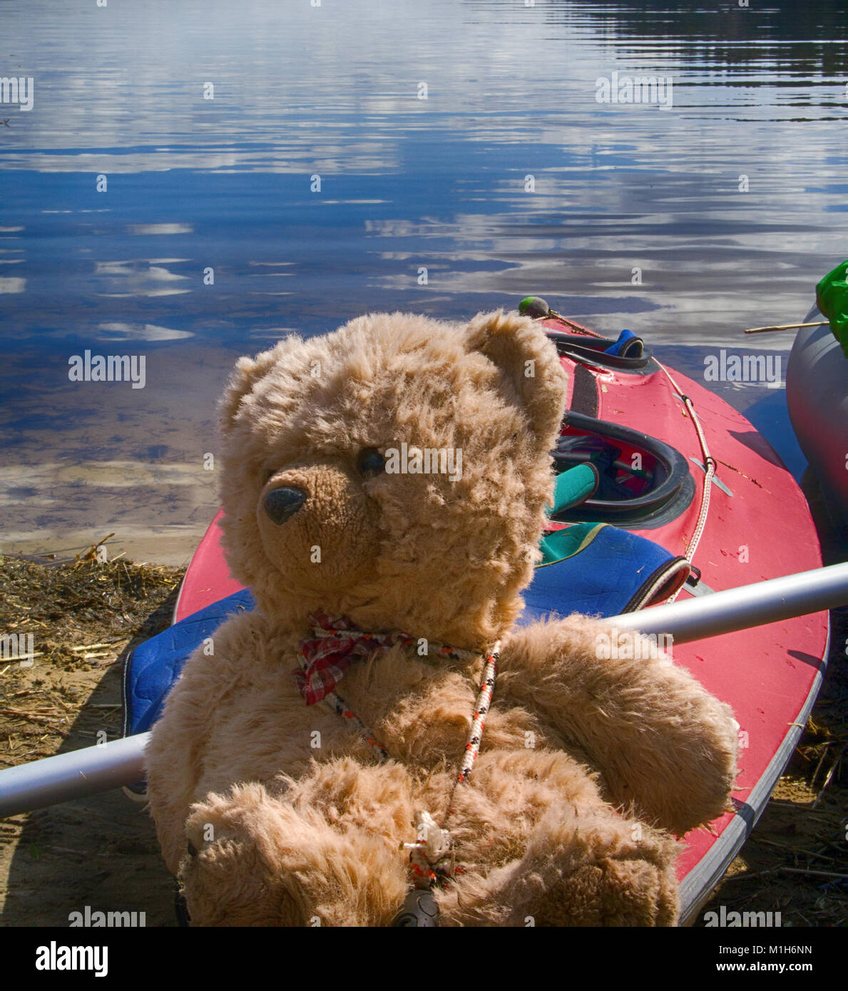 Bear paddling canoe hi-res stock photography and images - Alamy