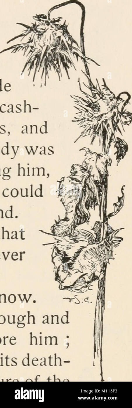 Being a ghost story hi-res stock photography and images - Alamy